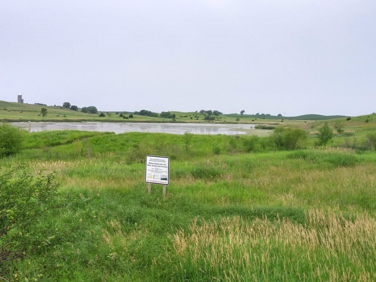 Iowa environmental groups seek to intervene in ‘swampbuster’ lawsuit ...